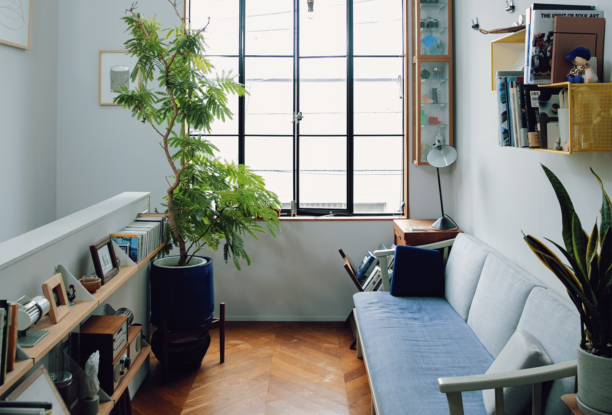 HOUSE PJ LINEUP｜Dolive（ドライブ）